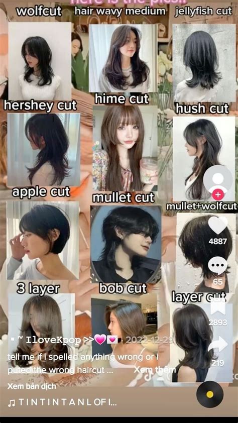 Haircut Names With Pictures For Ladies Hairstyle Names For Girls Women