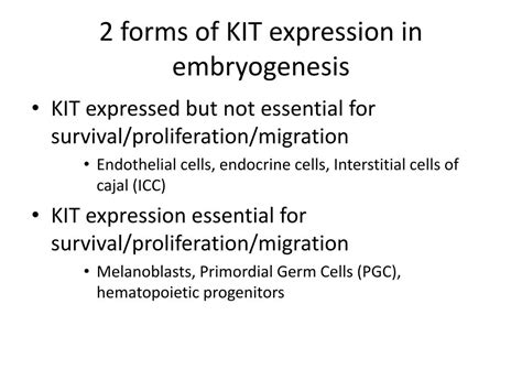 Ppt C Kit Function And Role In Normal Cells And Gists Powerpoint Presentation Id 6449829