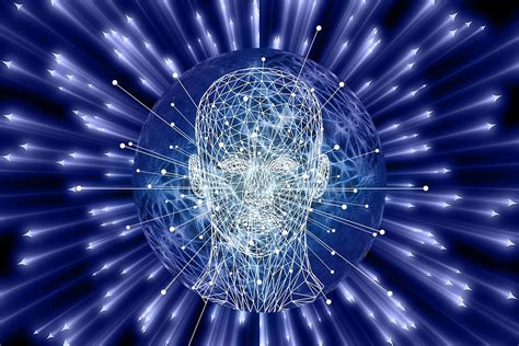 5 Meo Dmt News Sonoran Desert Toad And Synthetic God Molecule