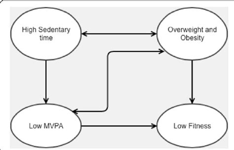 Proposed Bidirectional Relationship Between Sedentary Time Physical