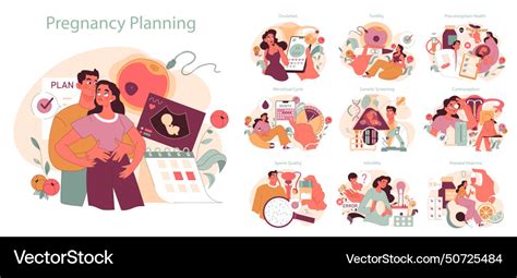 Pregnancy Planning Set Royalty Free Vector Image