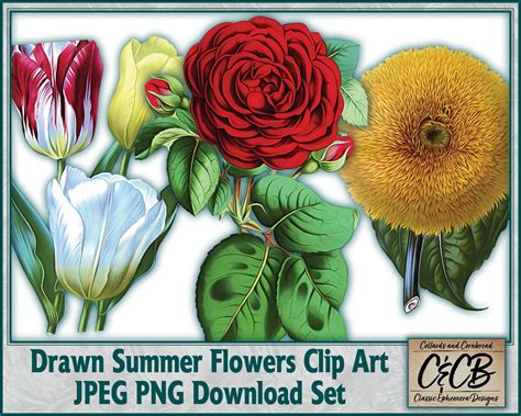 Summer Flowers Png Jpeg Clip Art Digital Download Set For Digital