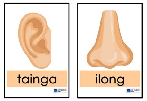 Bahagi Ng Katawan Flashcards Fun Teacher Files