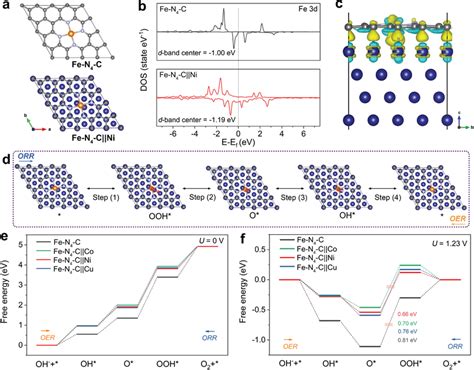 A The Optimized Structure Models Of Fe−n4−c Top And Fe−n4−c Ni Download Scientific Diagram