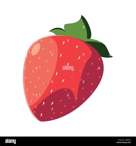 Strawberry Fresh Fruit In White Background Vector Illustration Stock