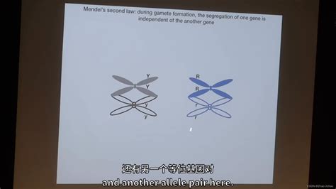 Introductory BiologyLecture 13 Genetics 2 Rules of Inheritance 遗传学2 继承规则 Zhao Jichao的博客