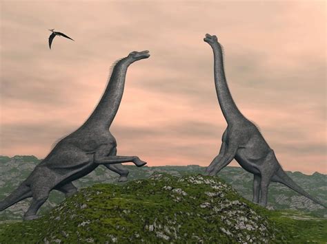 Dinos Got High Oldest Grass Fungus Fossil Hints Live Science