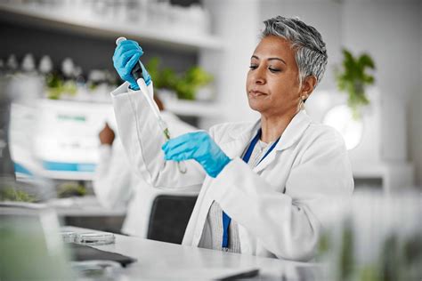 Gmo Detection Invitek Diagnostics