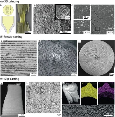Bone Like Microstructures Using 3d Printing A Freeze Casting B And Download Scientific