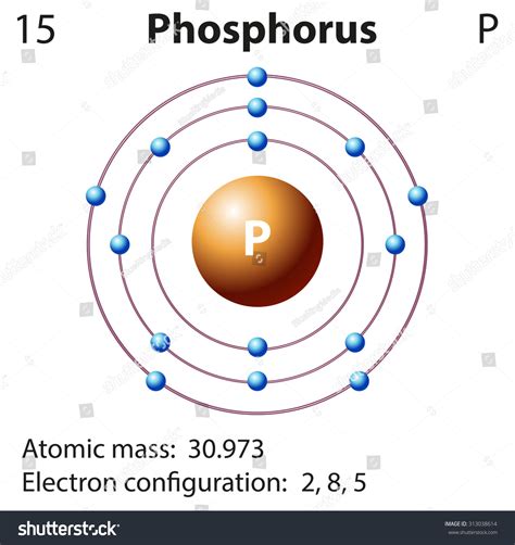 Bohr Model Of Phosphorus
