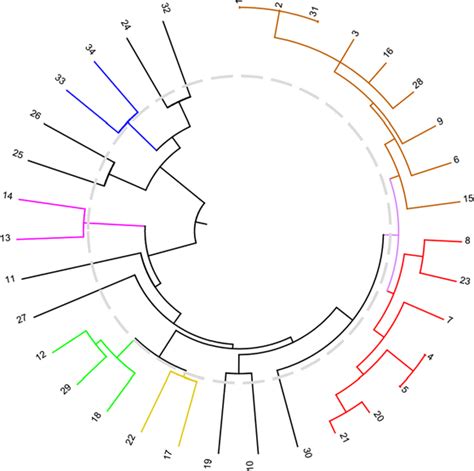 Dendrogram Obtained By The Upgma Technique Based On The Dissimilarity