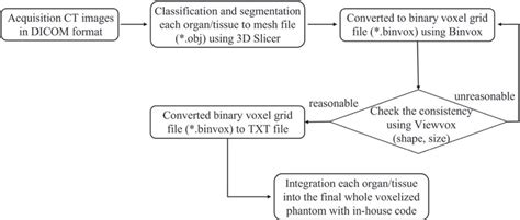 Self Af Values For Electrons In The Voxelized Scomber Japonicus Phantom Download Scientific