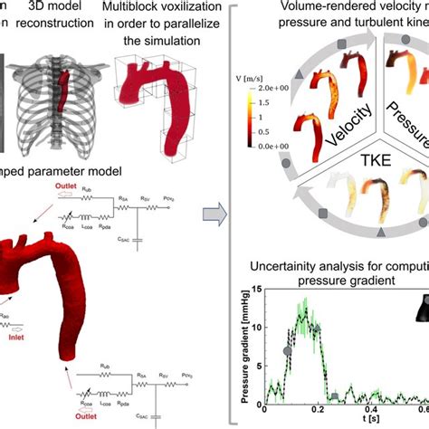Reconstructed Geometry And Simulation Domain We Used Ct Images From