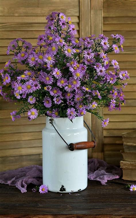 Bouquet De Fleurs Violettes Dans Un Vase Blanc Aster Flower
