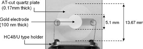 A 10 Mhz At Cut Qcm Resonator Used For The Experiments Download Scientific Diagram