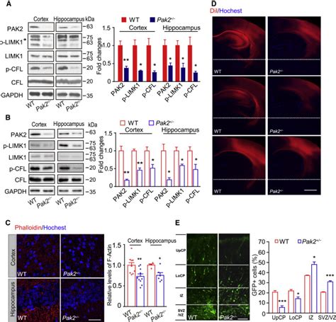 How To Open Pak Files Mihow How To Open Pak Files Mihow