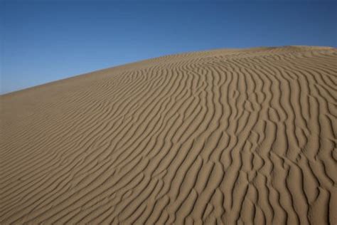 風紋とサハラ砂漠の砂丘 世界遺産 写真 アールクリエーション