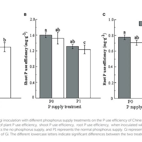 A The Effect Of Glomus Intraradices Gi Inoculation On The Dissolution Download Scientific