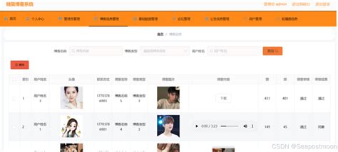 Java毕设项目案例实战ii基于springboot开发的精简博客系统的设计与实现（开发文档数据库源码）java项目实例 Csdn博客