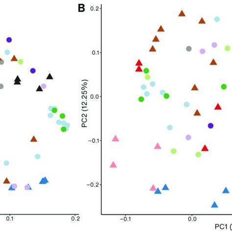 Principal Component Analysis Based On Ten Issr Loci A And Thirteen