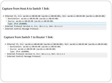 Routing Packet Flowing And Processing PPTX