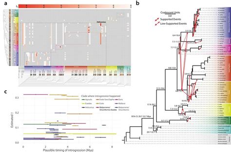 Patterns Of Introgression Inferred For The Heliconiinae Clade A The