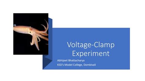 Voltage Clamp Experiment Pdf Chemistry Science