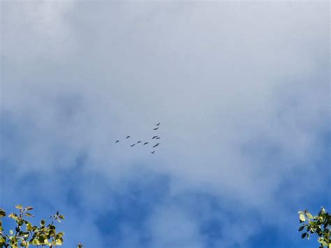 Agents For Code Generation From Prompt To Code To Find A Game By Jomsborg Lab Medium