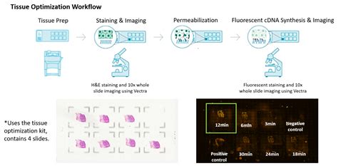 Visium Research Uw Madison
