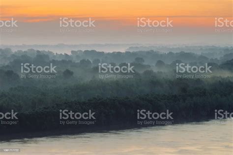 이른 아침에 안개에서 숲과 큰 섬의 강둑에 신비로운 보기 동 하늘 아래 나무 실루엣에서 레이어 가운데 안개 장엄한 자연의 아침 진정 대기 풍경입니다 강에 대한 스톡 사진 및