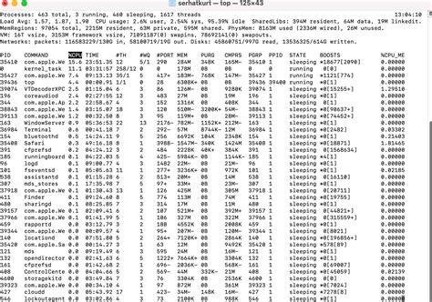 How To Use The Kill Command To End A Process Using Terminal On Mac MacReports