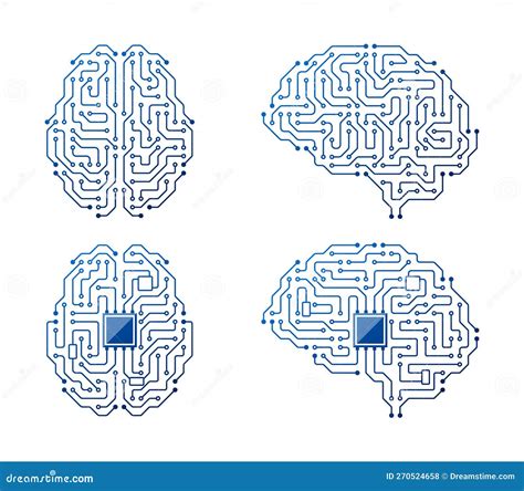 Cerebellar Electric Circuit Pathways Indicate Flow Of Electrical