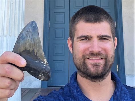 Was Megalodon Slimmer Than Previously Thought Science