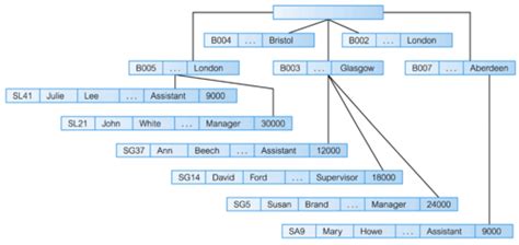 Chapter 1 Introduction To Databases Flashcards Quizlet