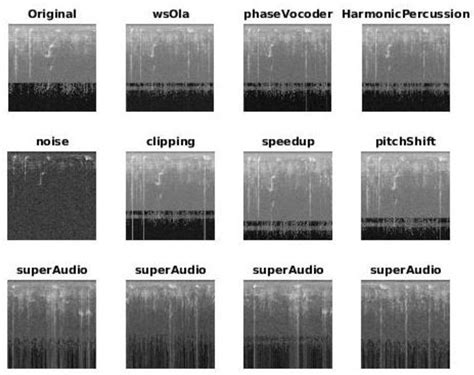 Figure 1 From An Ensemble Of Convolutional Neural Networks For Audio Classification Semantic
