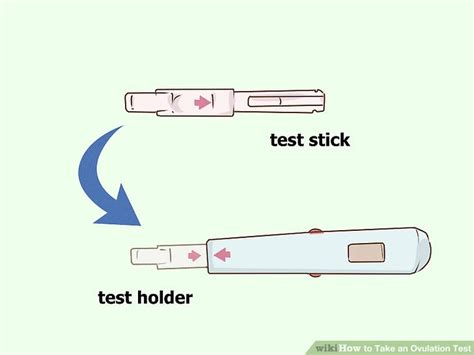 3 Ways To Take An Ovulation Test WikiHow Health