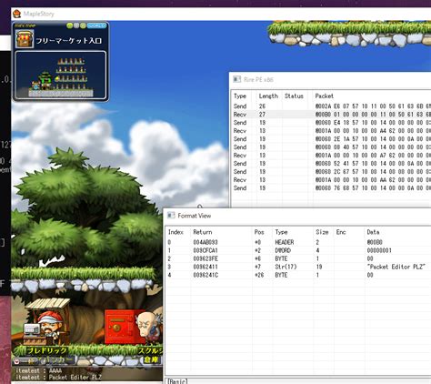 How To Get Packet Structure Using Ollydbg Ragezone Mmo Development Forums