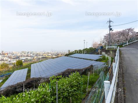 斜面に設置されたソーラーパネルの写真素材 250389533 イメージマート