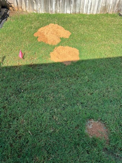 Gopher Girl Gopher Girl Added A New Photo