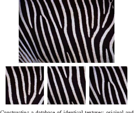 Figure 1 From Structural Texture Similarity Metrics For Image Analysis And Retrieval Semantic