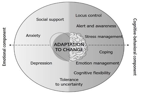 Adaptation à l âge et au sexe des publics