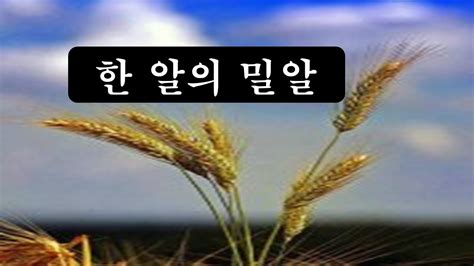 [ 한알의 밀알 ] 쉬지말고 기도하라 사랑하고 희생하라 그러면 주님 만나리 그 날에 한알의밀알 기도공동체성가 복음성가 Ccm 이마르띠노찬양선교방송 Youtube