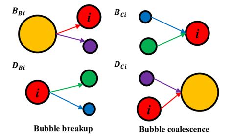 Bubble Breakup And Coalescence Download Scientific Diagram