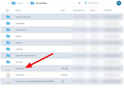Complete Guide To Enable Debug In Wordpress Step By Step