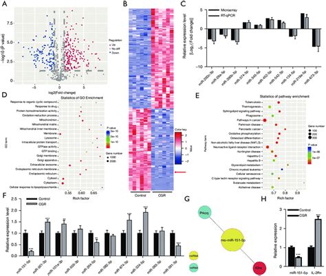 Integrated Analysis Of Differentially Expression Mirnas And Mrna A Download Scientific