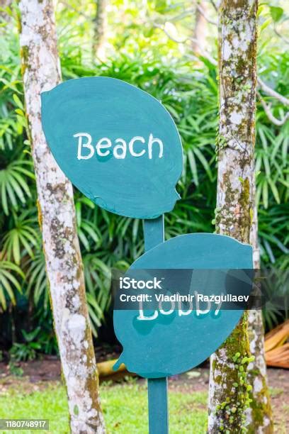 녹색 나무와 식물의 배경에 잎 녹색 해변에 도로의 모양으로 나무로 만든 호텔 로비와 해변에 서명 0명에 대한 스톡 사진 및 기타 이미지 Istock