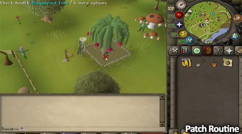 Complete Tree Farming Guide For Osrs Tree Run Guide