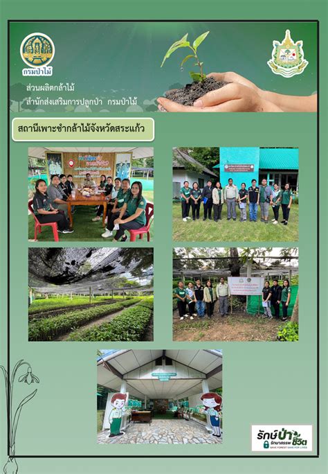 ติดตามผลการปฏิบัติงานตามแผนงานเพาะชำกล้าไม้ ประจำปีงบประมาณ พ ศ ๒๕๖๖ ท้องที่จังหวัดตราด จันทบุรี