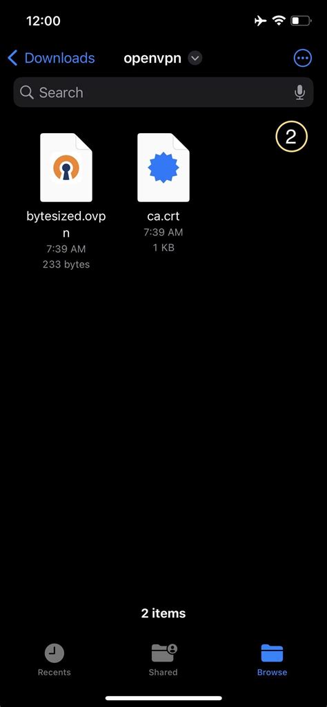 ios import certificate file r openvpn
