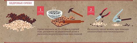 Кедровые орехи 8 полезных свойств польза и вред для мужчин и женщин